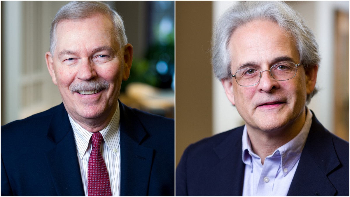 Mitchell Hamline names professors to endowed positions – News and ...